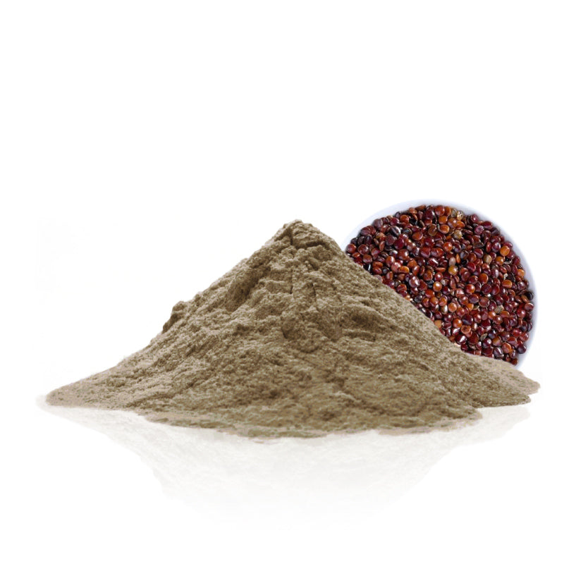 Hovenia Dulcis (Raisin Tree Seed) Powder – Nitribeet