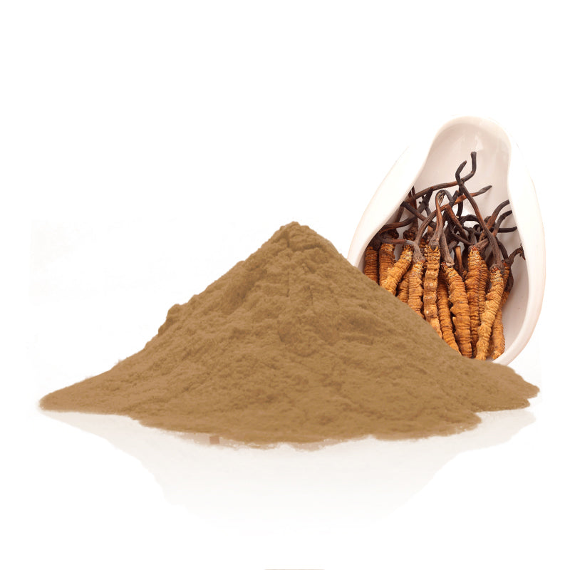 Organic Cordyceps Powder – Nitribeet