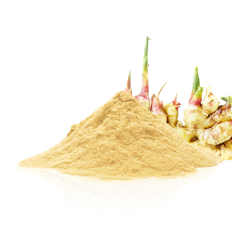 Organic Ginger Extract Powder – Nitribeet