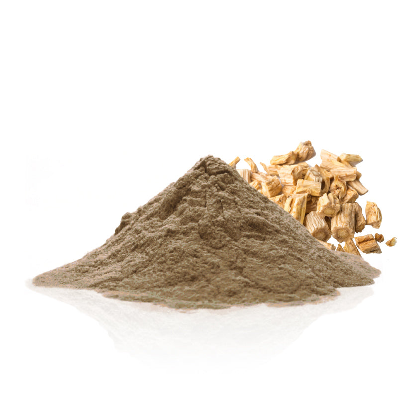 Platycodon Root (Balloon Flower) Powder – Nitribeet